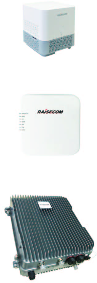 Small/Pico/Femto Cell Device | Raisecom